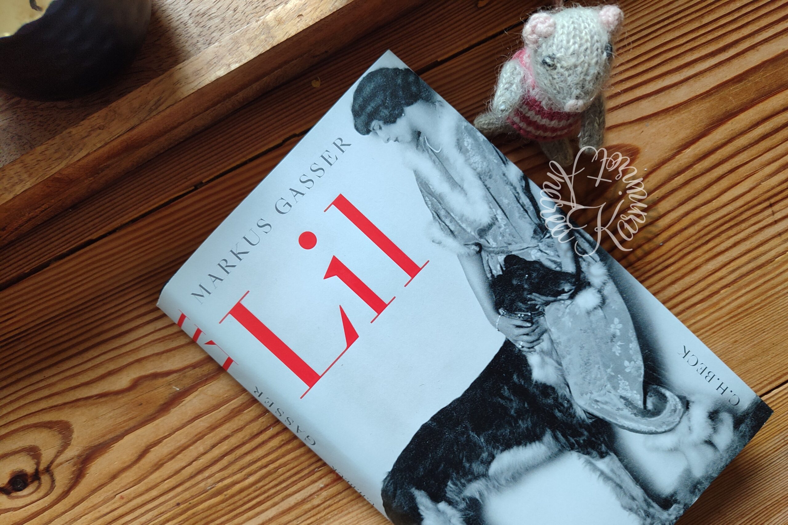 "Lil" ein Roman von Markus Gasser - Karminrot Lesezimmer